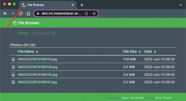 NGINX/FancyIndex Multi-Theme – www.MangoLila.at